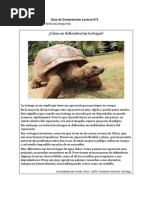 La Tortuga Que Queria Volar | PDF | Tortuga