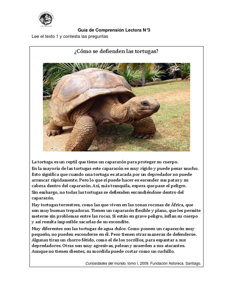 Guía de Comprensión Lectora 3 | PDF | Tortuga | Ratón
