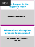 Adaptations of the Small Intestine for Absorption | PDF