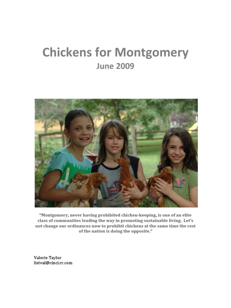 Changing Your City's Chicken Laws | PDF | Avian Influenza | Chicken
