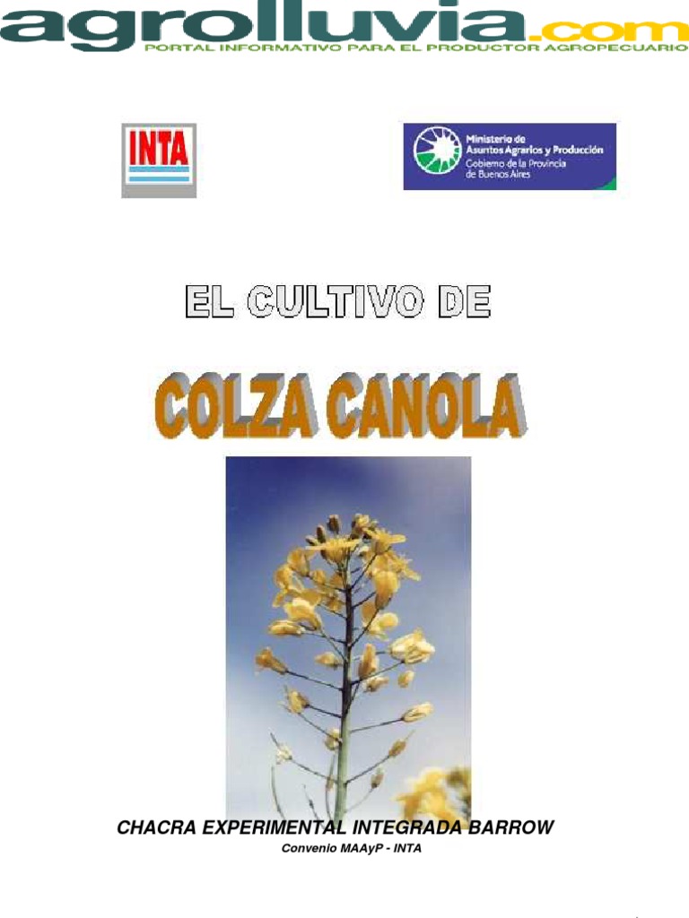 Inta Barrow Manual Colza | PDF | Siembra | Colza