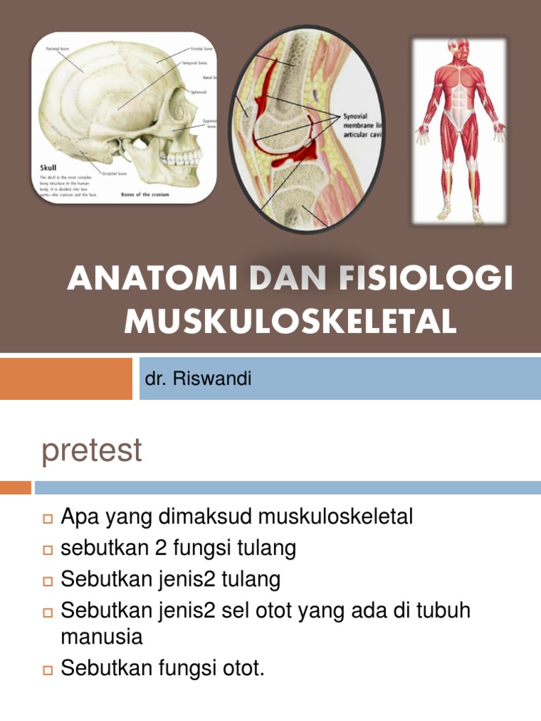 Anatomi Dan Fisiologi Sistem Muskuloskeletal