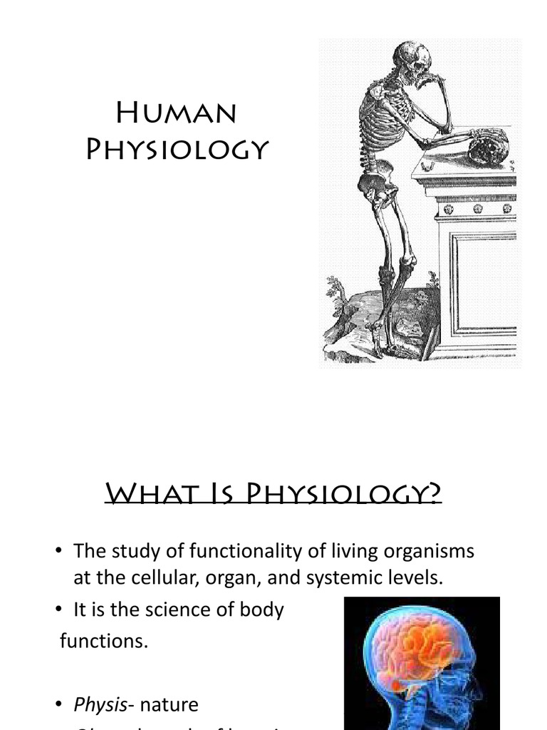 Intro To Physiology | PDF | Tissue (Biology) | Human Body
