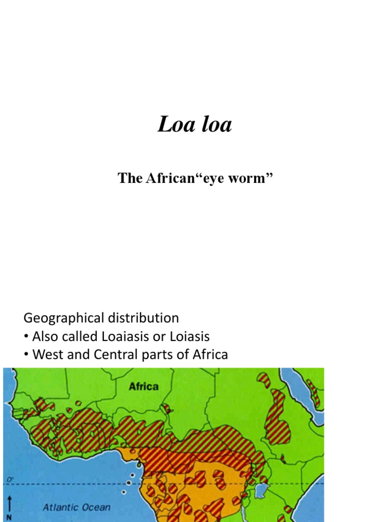 Loa Loa: The African"eye Worm" | PDF