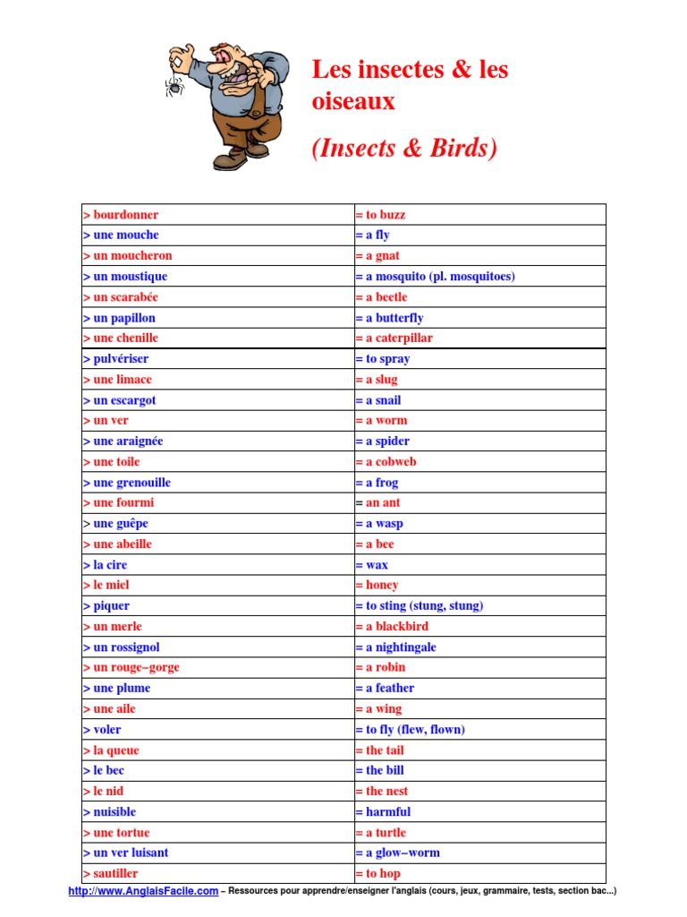 Vocabulaire Les Insectes Et Les Oiseaux PDF | PDF