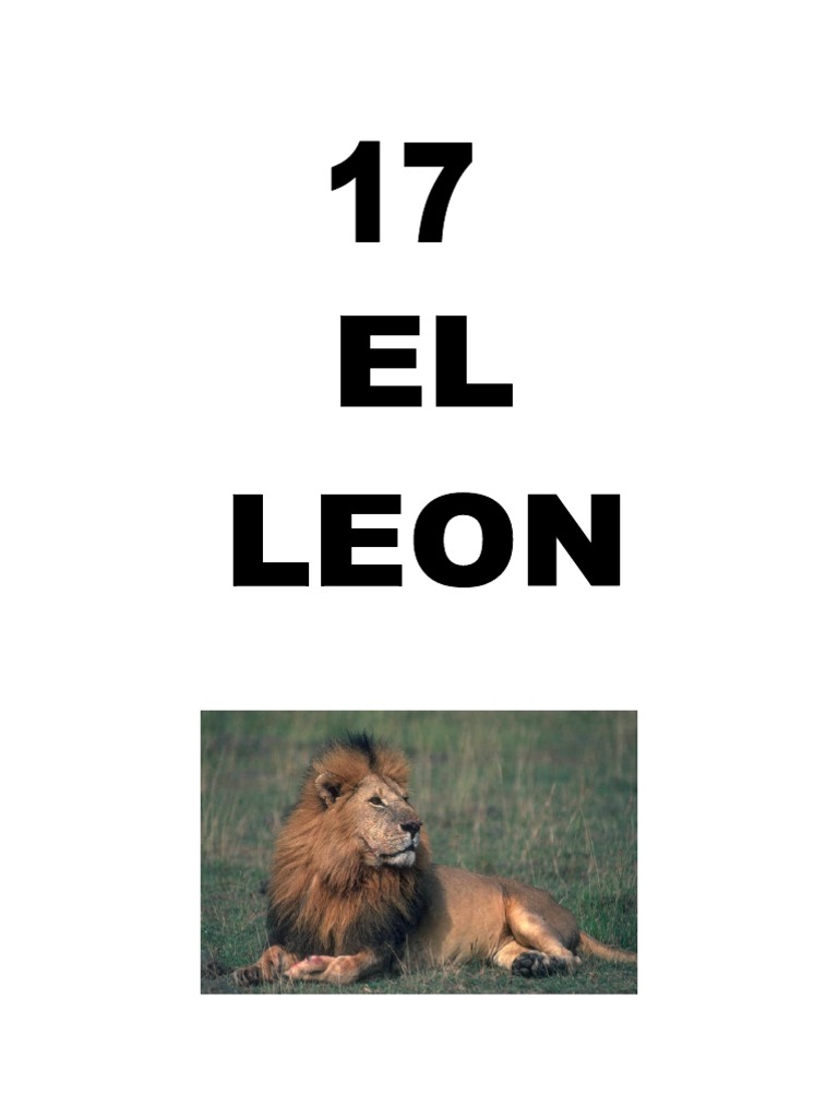 Leccion 17 Leon | PDF
