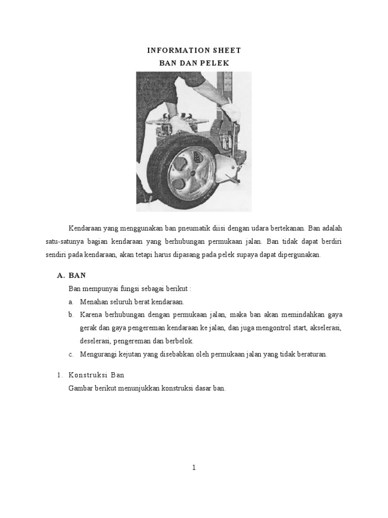 Information Sheet BAN DAN PELEK | PDF