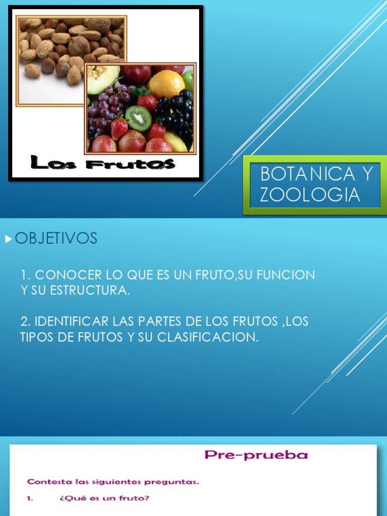 Clasificación y Estructura de Frutos | PDF | Fruta | Morfología Vegetal