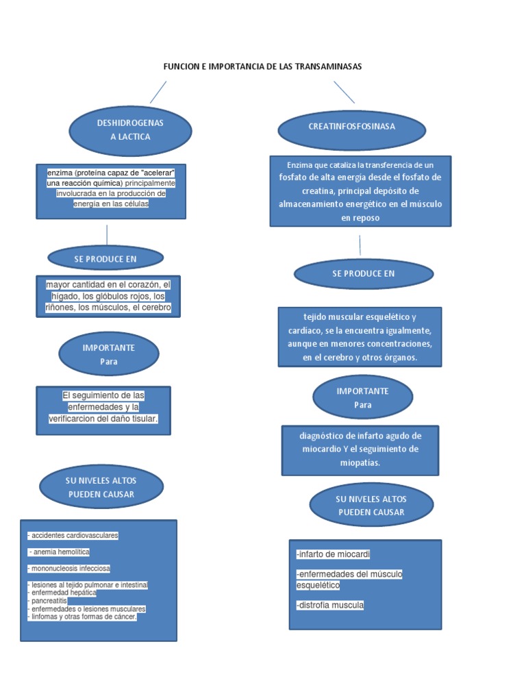 Esquema Transaminasas | PDF
