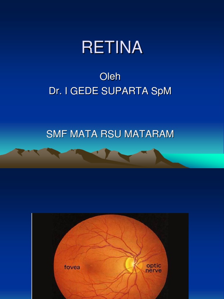 Anatomi Retina | PDF