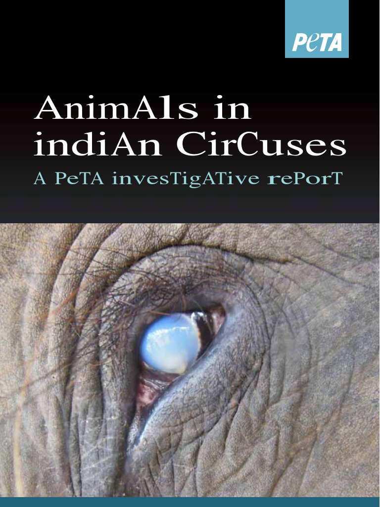 PETA Investigates Circus Abuse: Naresh Kadyan Demands FIR Against All ...