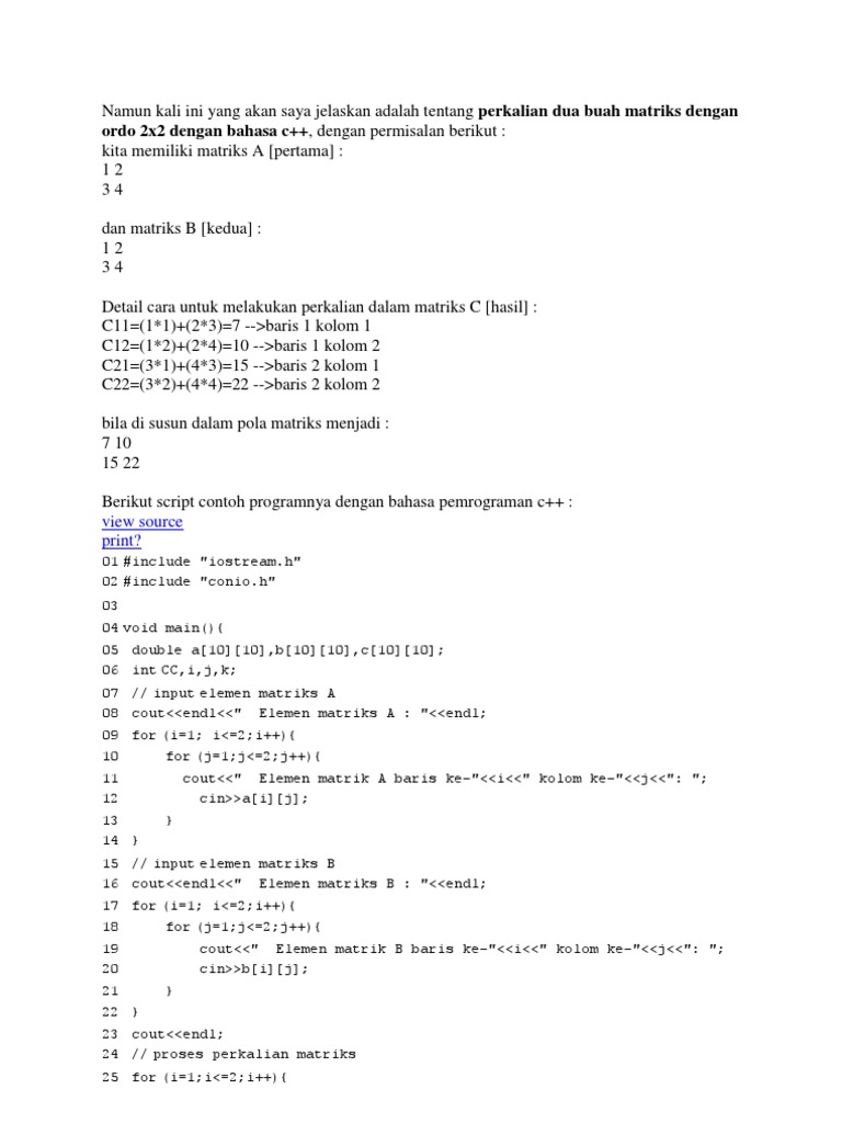Matrix Berordo 2x3 - C++ | PDF