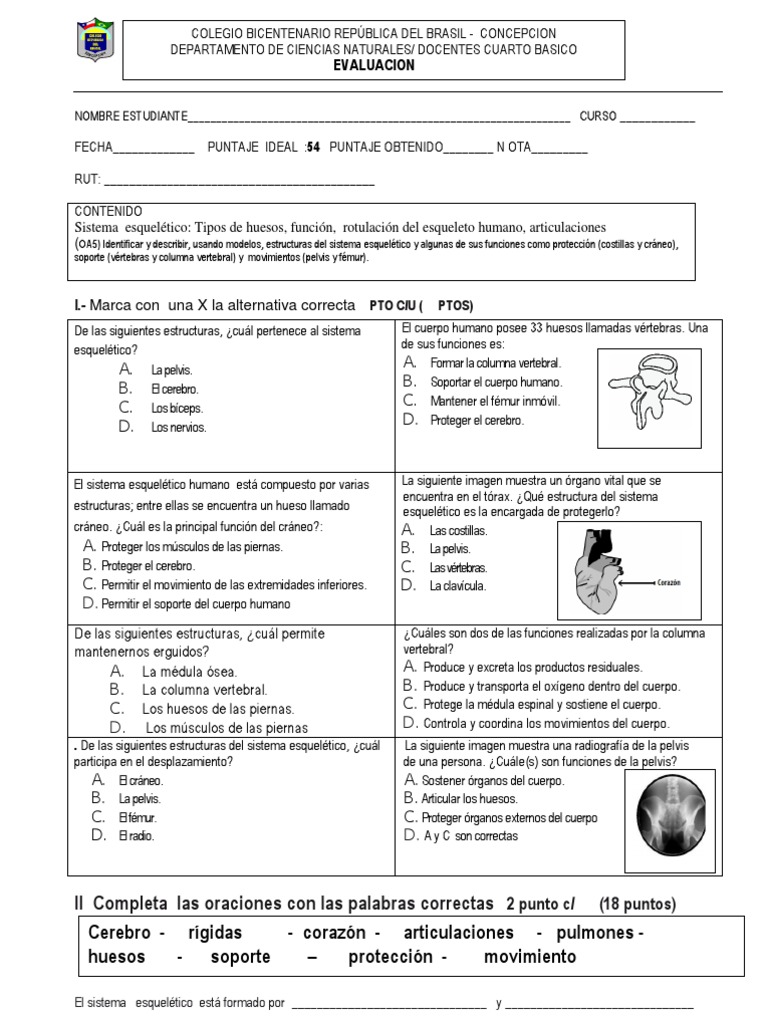 Prueba Sistema Esqueletico | PDF | La columna vertebral | Articulación