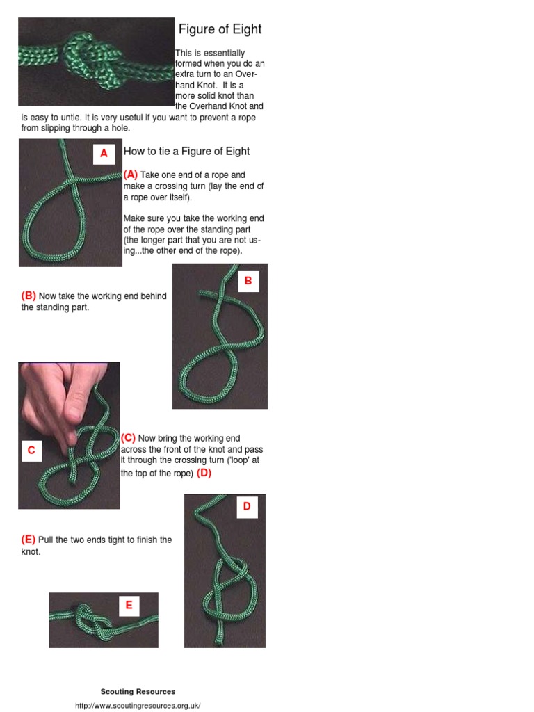 Knots Figure Eight | PDF | Knot | Ropework