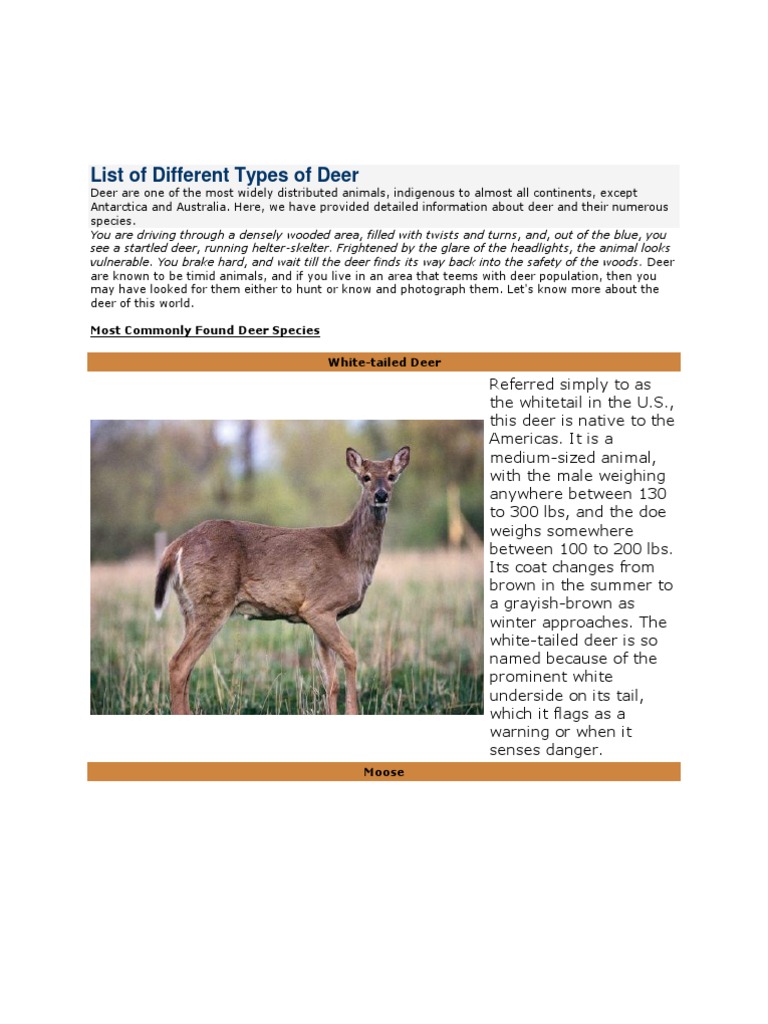 List of Different Types of Deer | PDF | Deer | White Tailed Deer