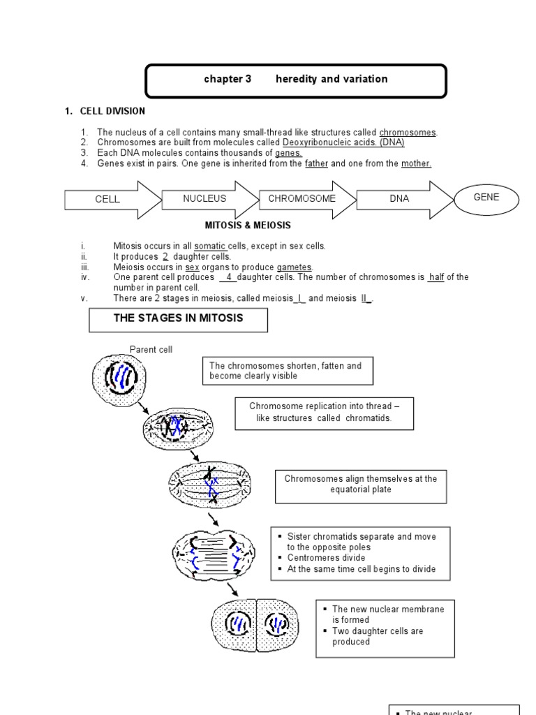 Science Form 4 | PDF