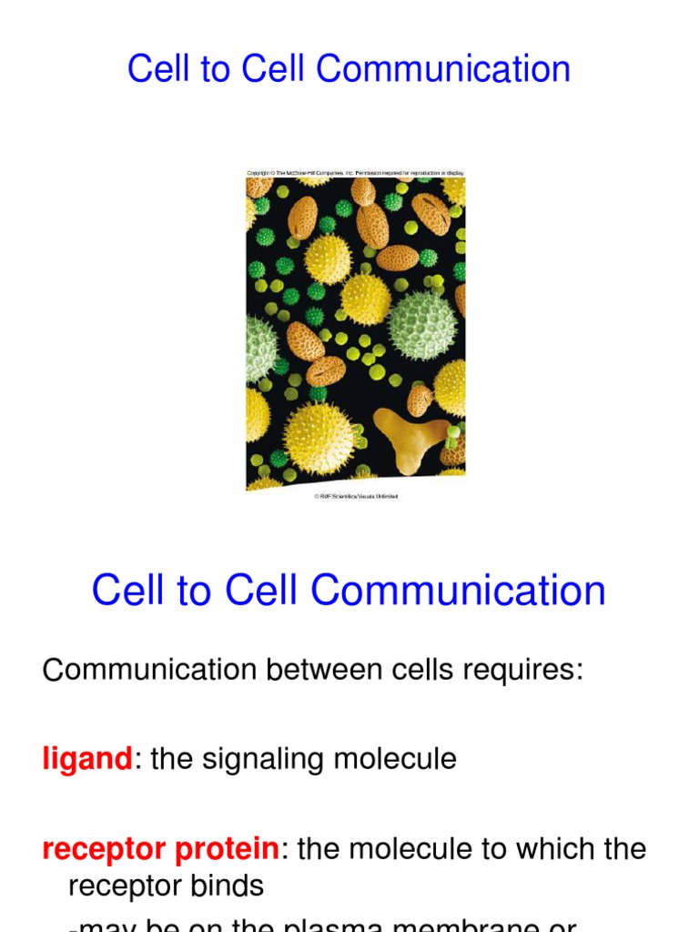 Cell To Cell Communication | PDF | Cell Signaling | G Protein–Coupled ...