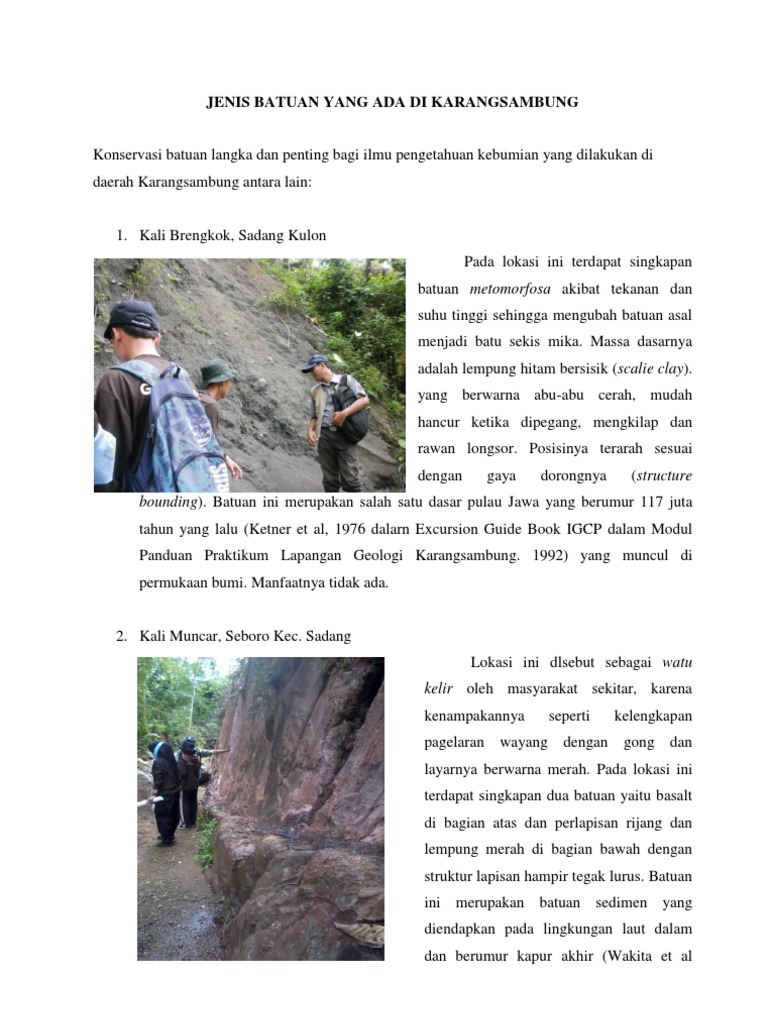 Jenis Batuan Yang Ada Di Karangsambung | PDF | Ilmu Sosial