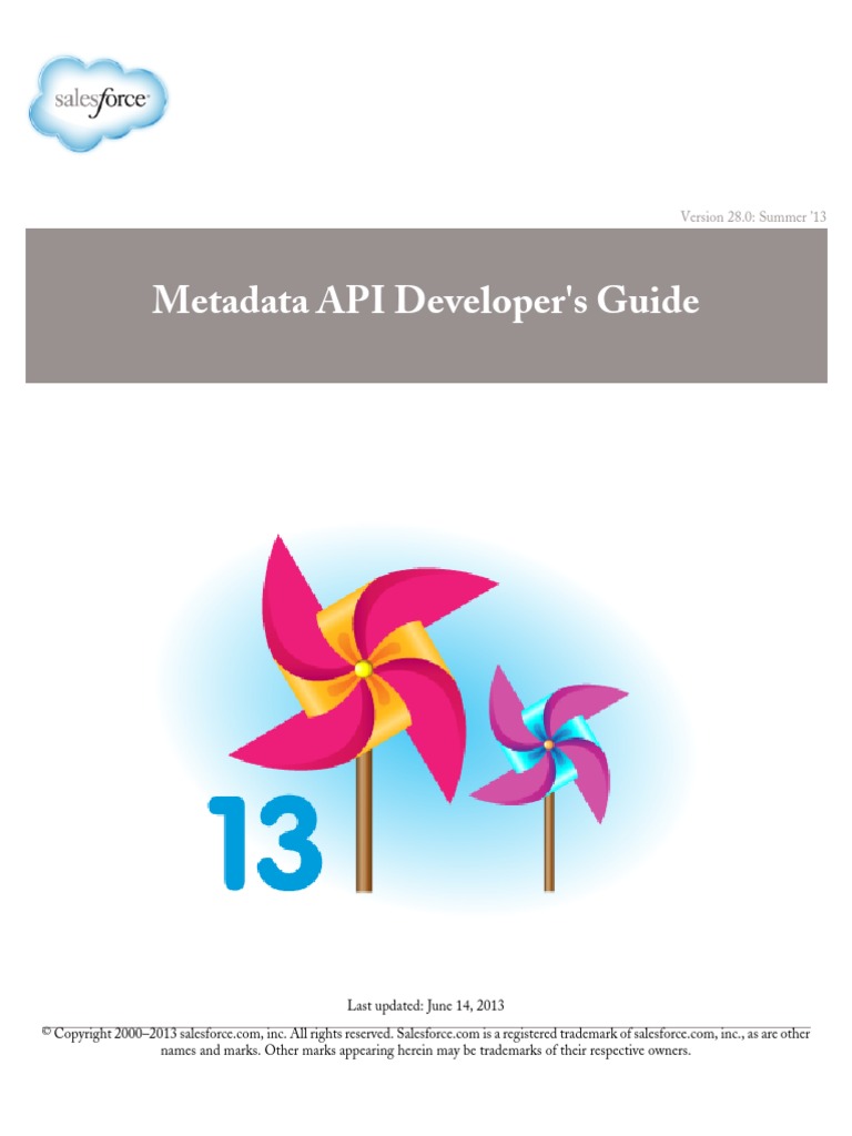 Api Meta | PDF | Application Programming Interface | Salesforce.Com