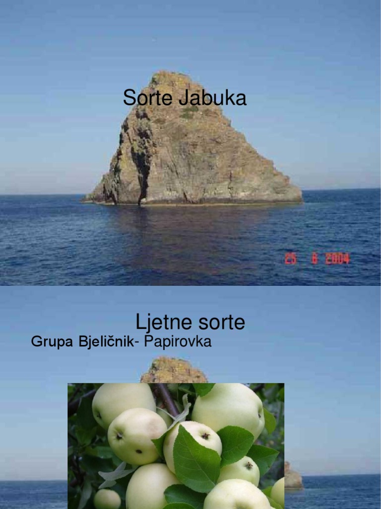 Sorte Jabuka | PDF