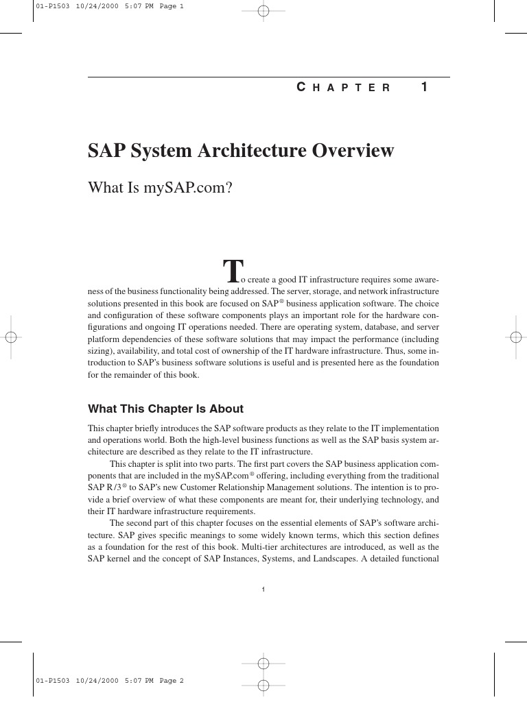 SAP System Architecture Overview | PDF | Enterprise Resource Planning ...