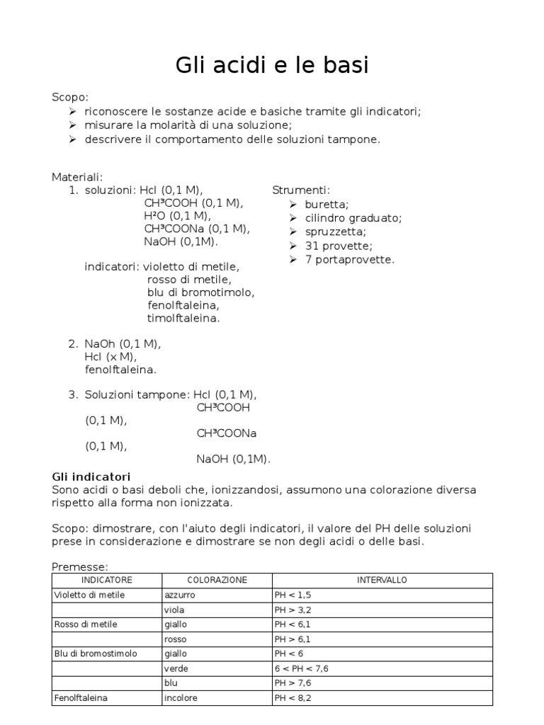Relazione Di Chimica: Gli Acidi e Le Basi | PDF