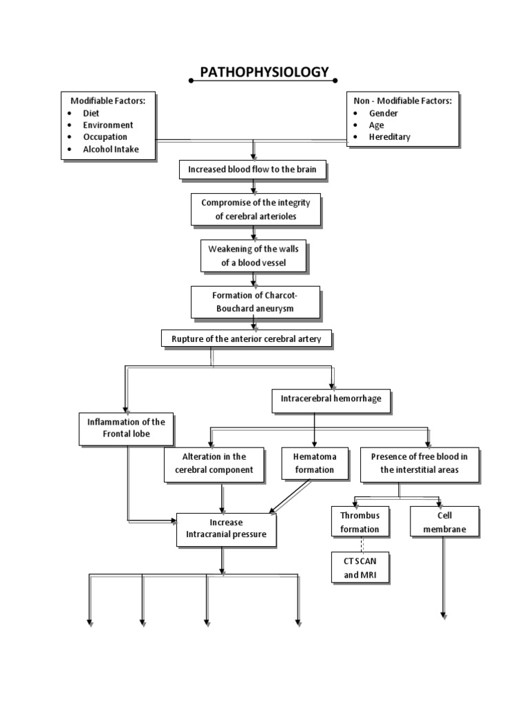 Intracerebral Hemorrhage Pathophysiology