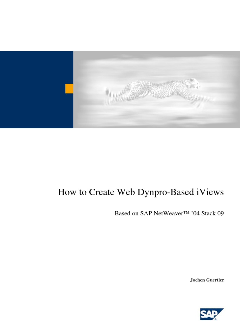 How To Create Web Dynpro-Based Iviews: Based On Sap Netweaver™ '04 Stack 09 | PDF | Ibm Db2 ...