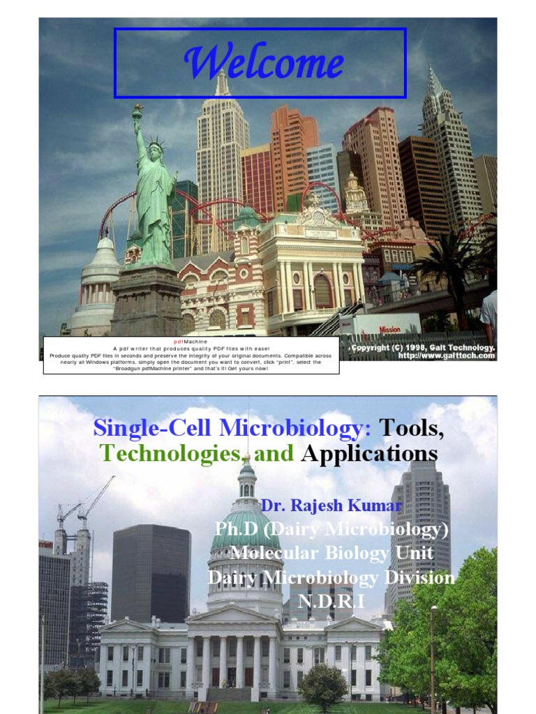 Single Cell Microbiology | PDF | Raman Spectroscopy | Atomic Force ...