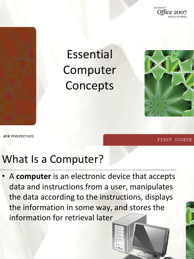 Essential Computer Concepts | PDF