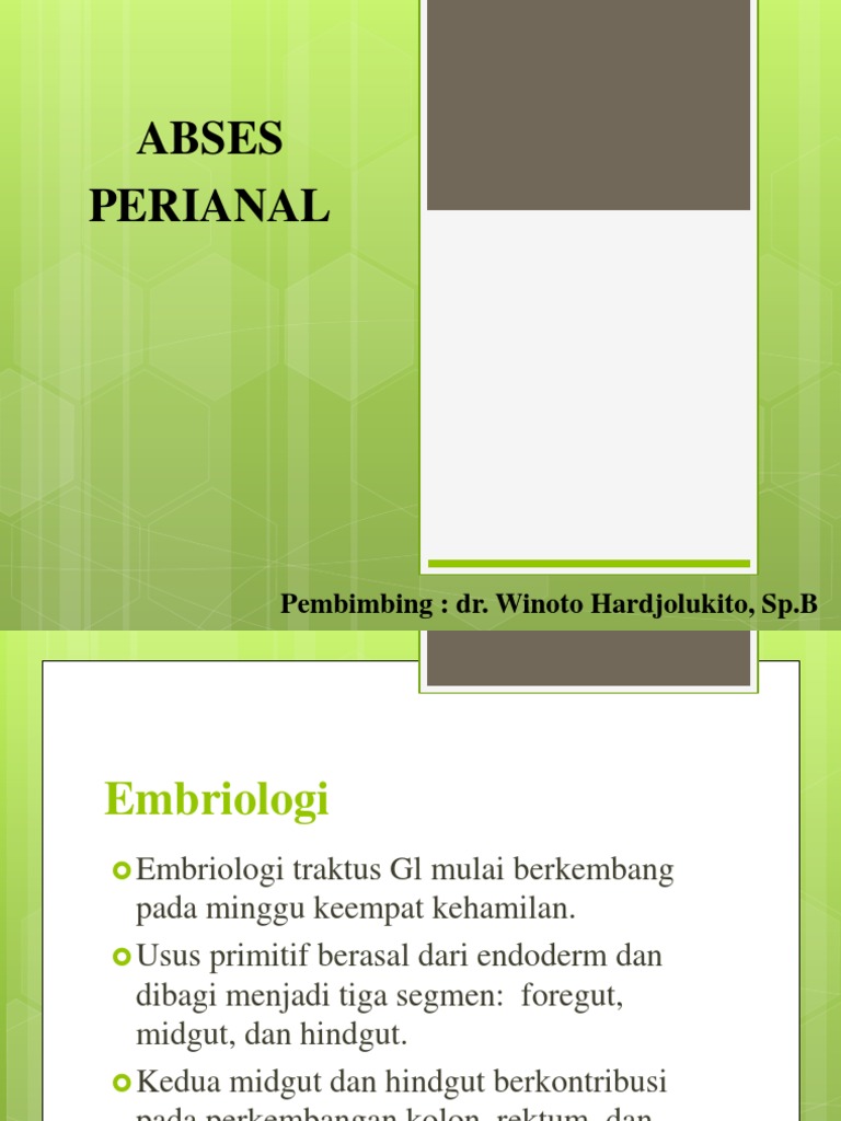 PP Abses Perianal | PDF