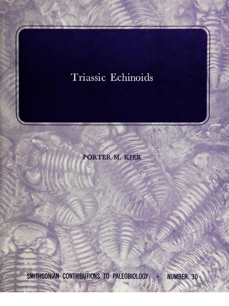 Echinoids | PDF | Smithsonian Institution | Museum