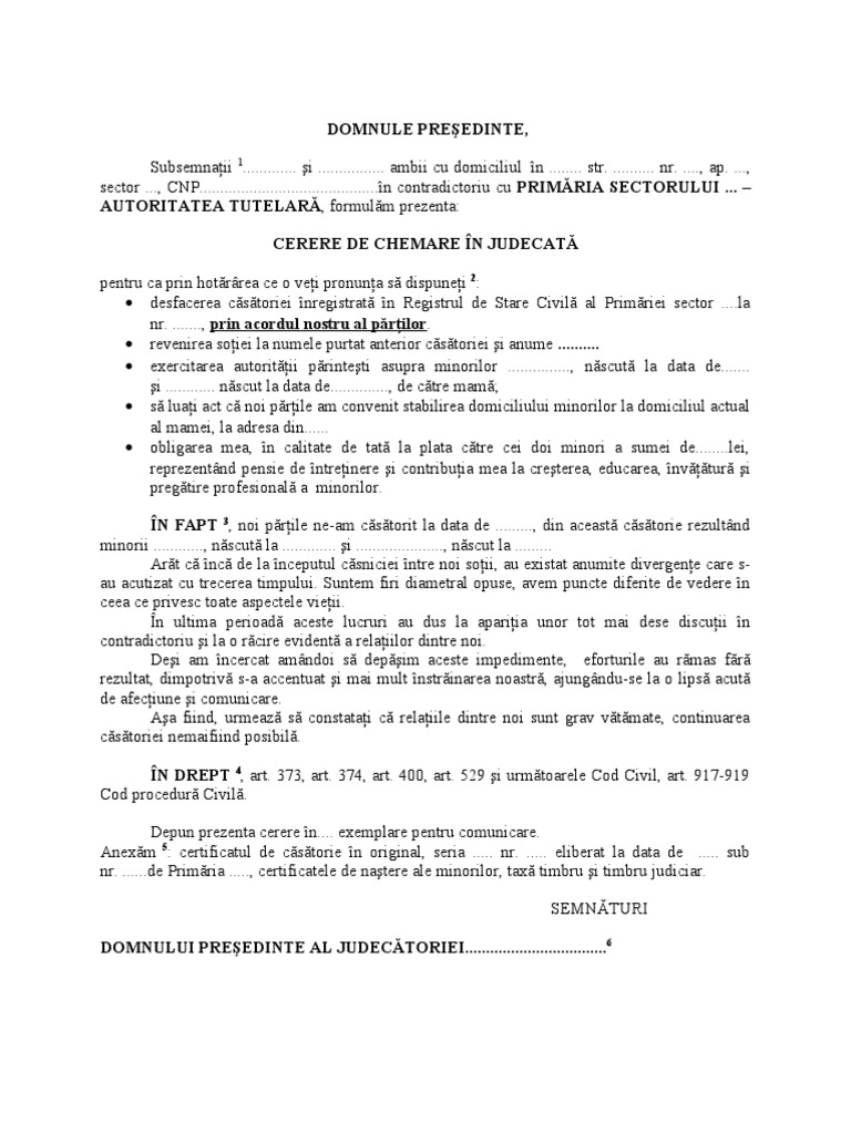 Cerere de Divort Remediu | PDF