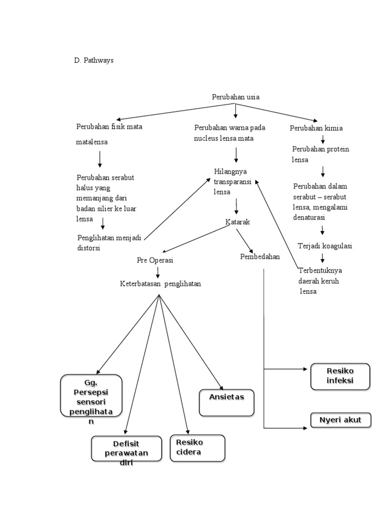 Pathway Katarak dan Ansietas Pre Operasi | PDF