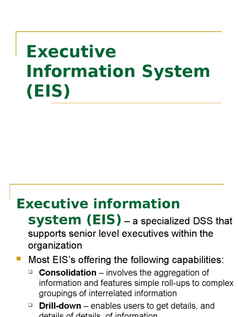 Executive Information System | PDF