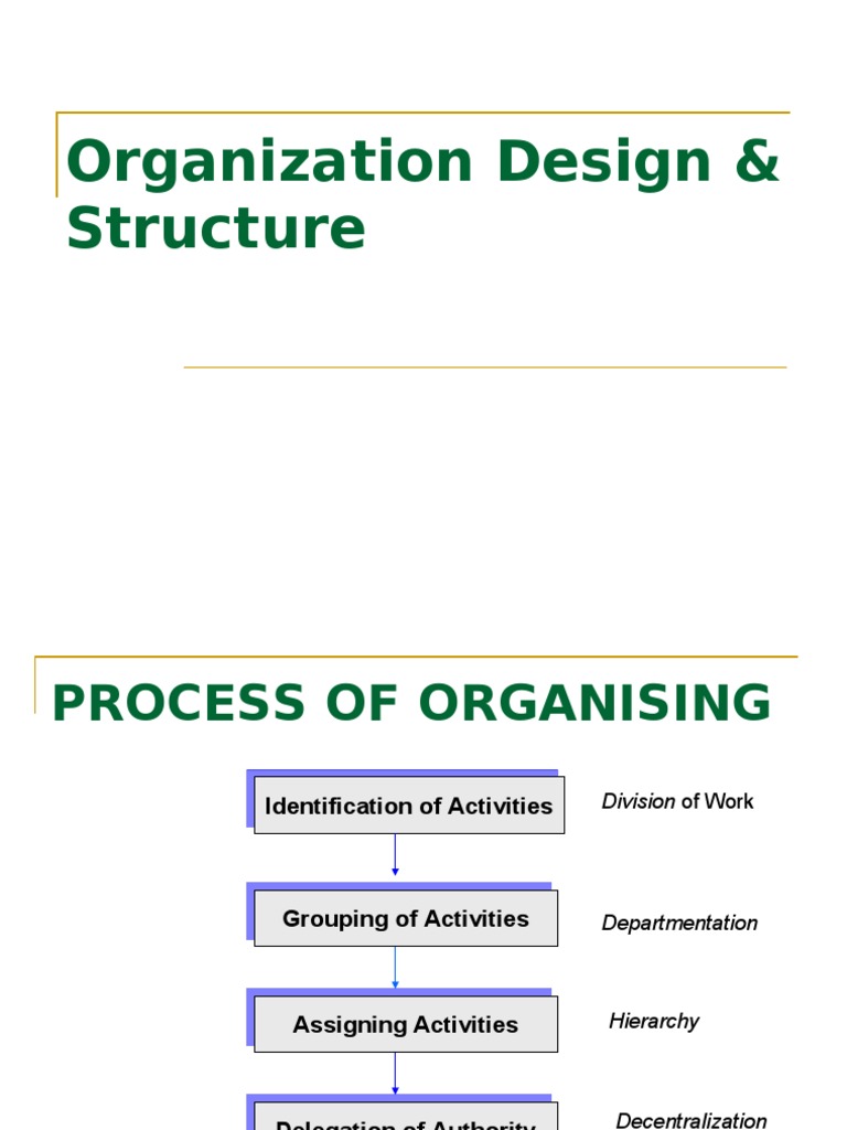 Organization Structure | PDF | Organizational Structure | Strategic ...
