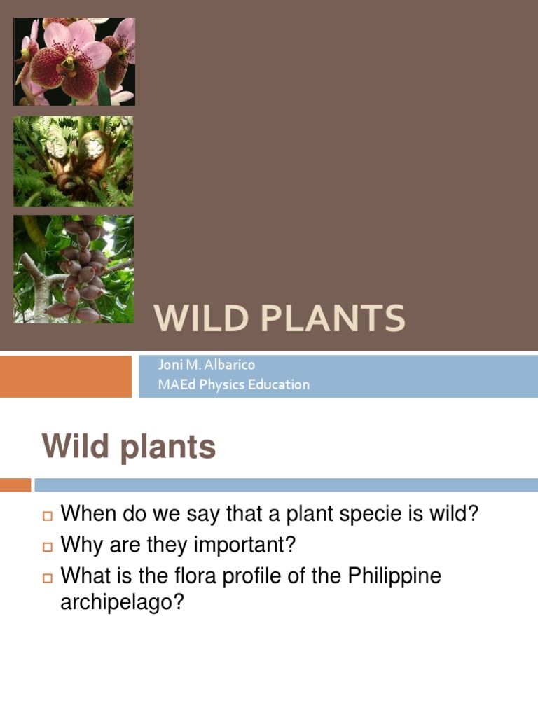 Wild Plants | PDF | Conservation Biology | Biodiversity