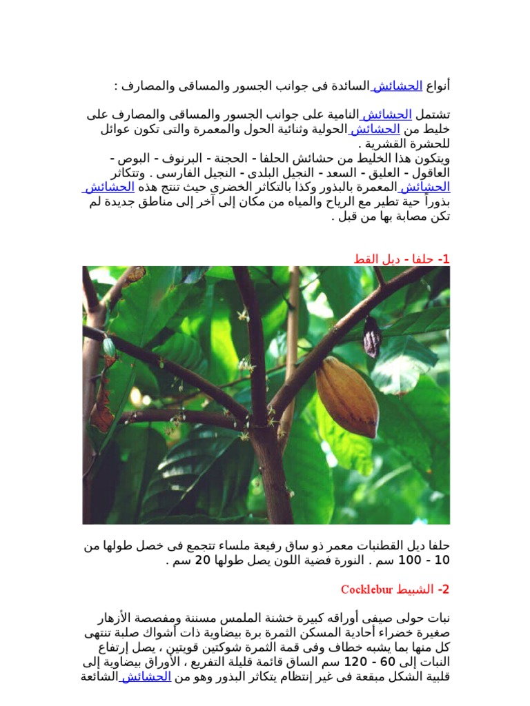 أنواع الحشائش السائدة فى جوانب الجسور والمساقى والمصارف | PDF