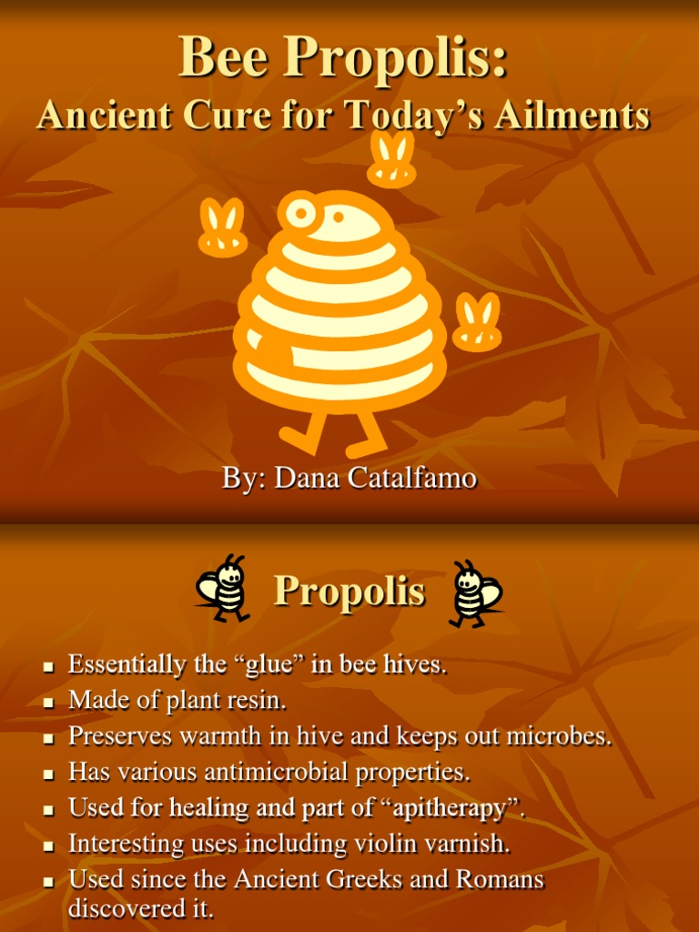 Bee Propolis Presentation | PDF | Macrophage | Nf κb