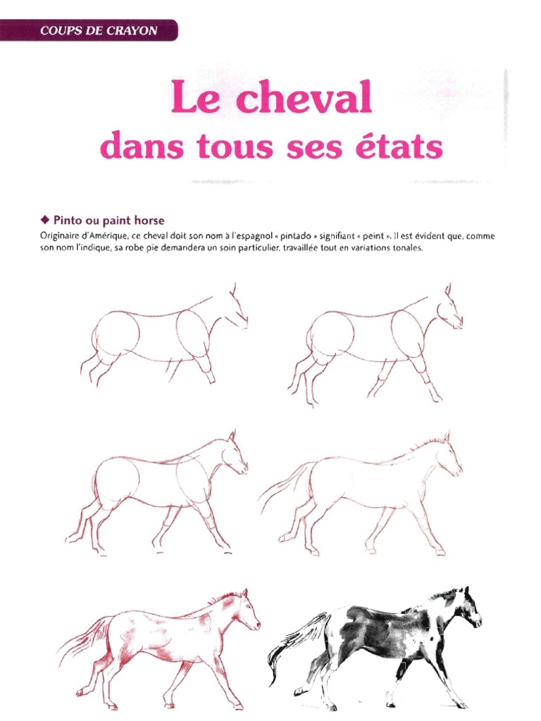 Exercices de Dessin | PDF