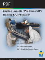 Coating Inspector Program Level 1 Studen 1 | PDF | Coating | Certification