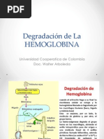 Transaminasas - TGO, TGP y GGT | PDF | Transaminasa | Especialidades Medicas