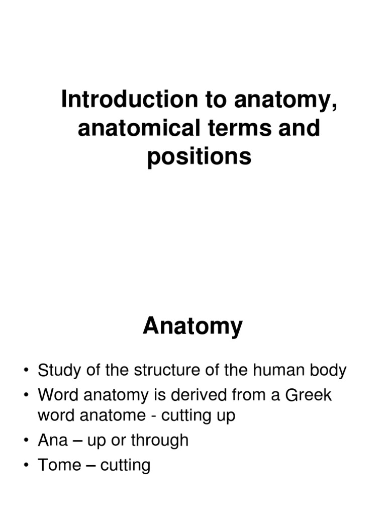 Introduction To Anatomy, Anatomical Terms and Positions | PDF ...