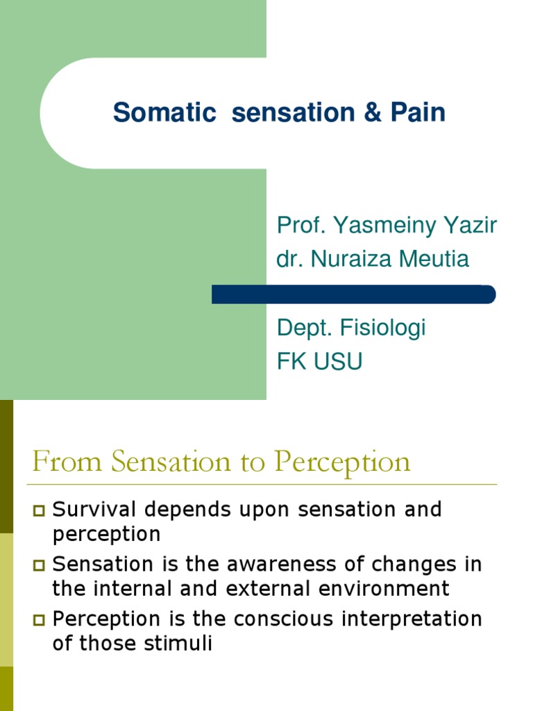 Somatic sensation | Pain | Somatosensory System