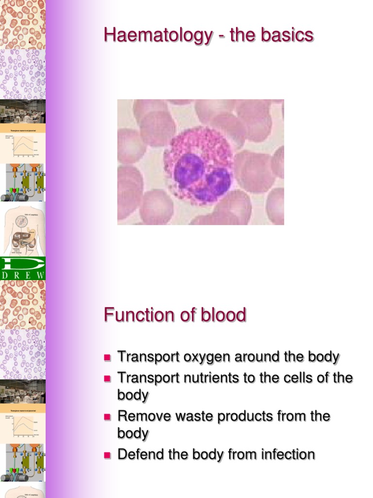 XL22 - basic haematology.ppt | White Blood Cell | Red Blood Cell
