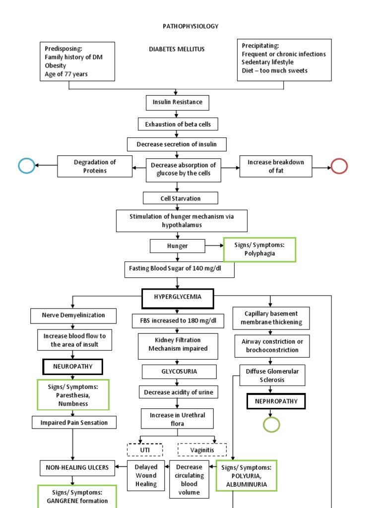 Pathophysiology of DM | PDF | Kidney | Renal Function