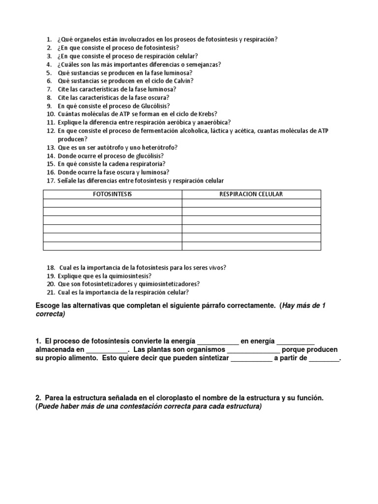 Practica Fotosintesis y Respiracion Celular 1.2 | PDF | Fotosíntesis ...
