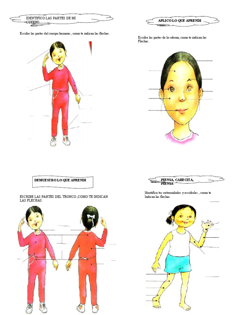 Practica-Escribe Las Partes Del Cuerpo Humano, Cabeza Troco S | PDF