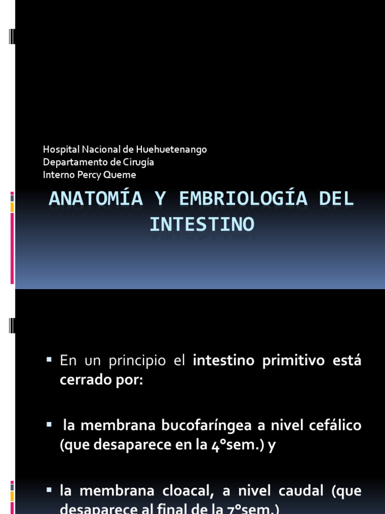 Anatomia y Embriologia Del Intestino | PDF | Páncreas | Intestino grueso