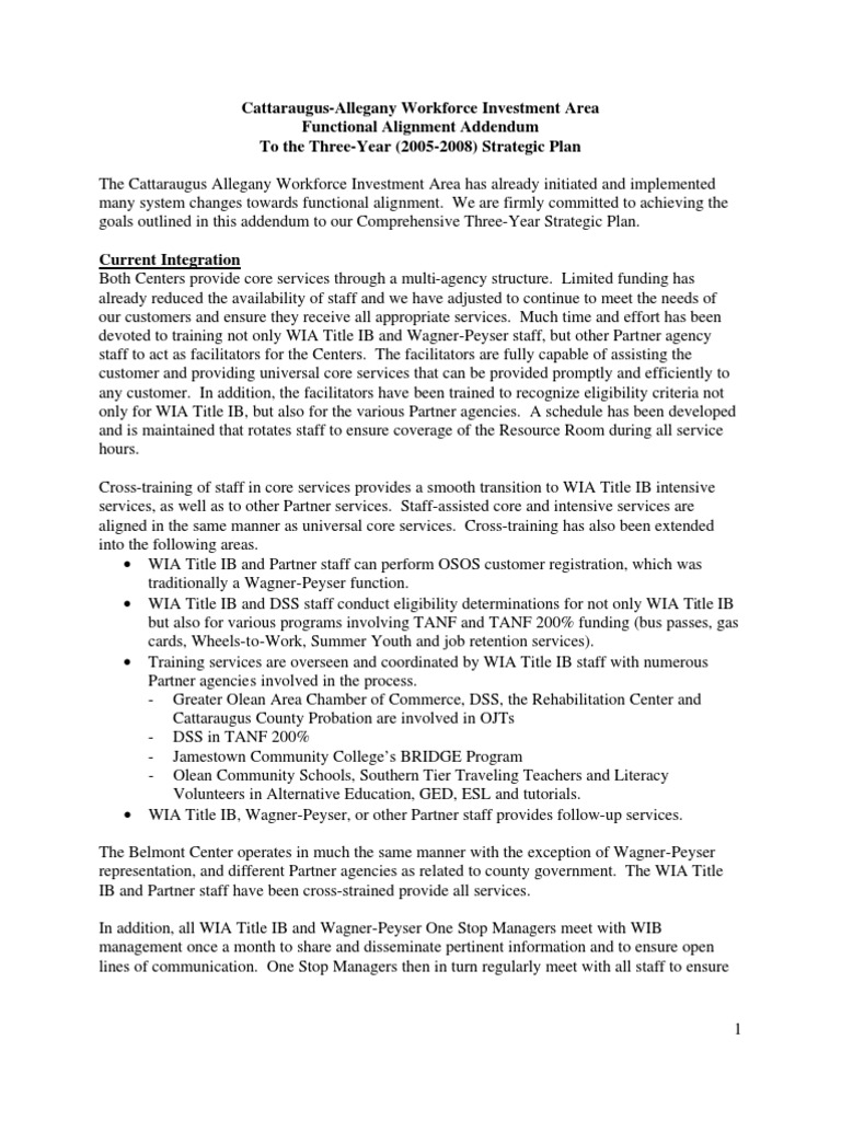 Cattaraugus-Allegany Workforce Investment Area Functional Alignment ...